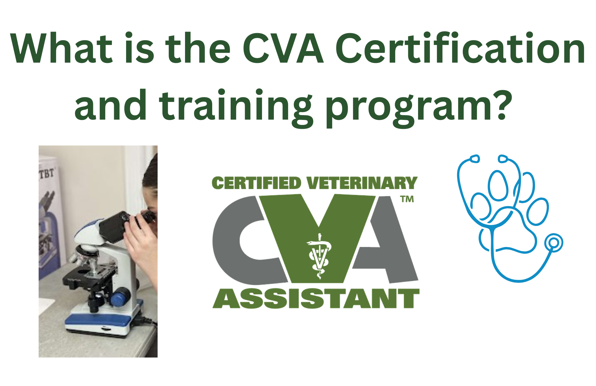 Overview of The CVA Program